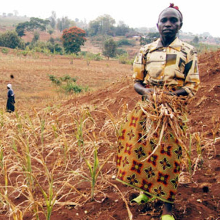 Business - Rwanda Today