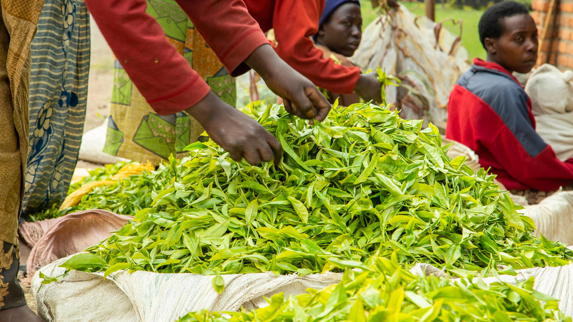 Business - Rwanda Today